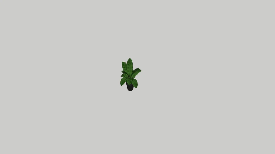 Plant | 3D Warehouse
