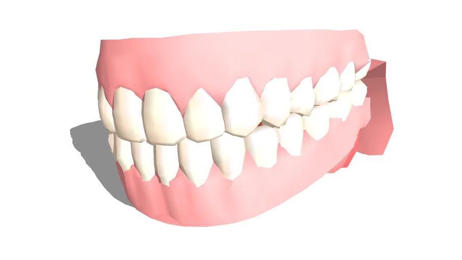 Mouth Closed | 3D Warehouse