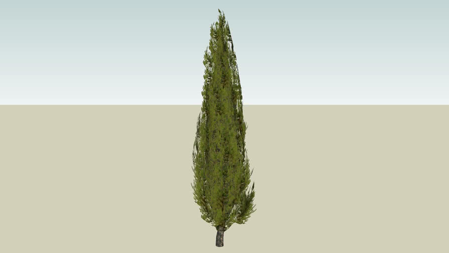 3d-pine | 3D Warehouse