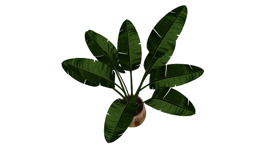 lopuchy | 3D Warehouse