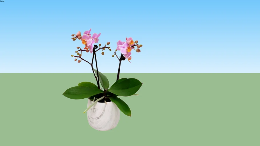 Anggrek (03) | 3D Warehouse