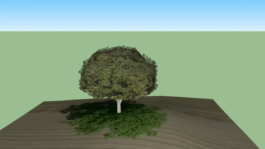 Tree | 3D Warehouse