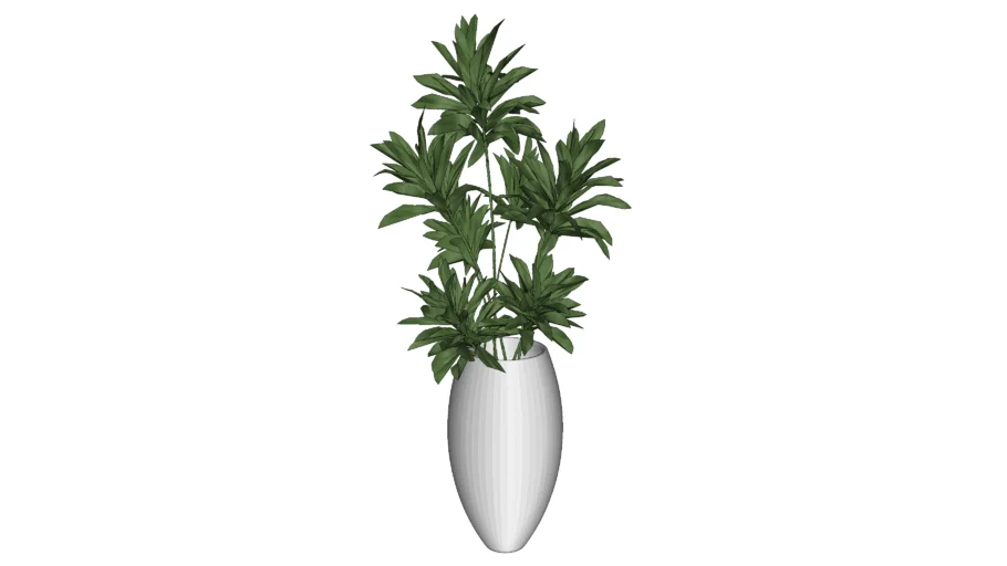 Plant | 3D Warehouse
