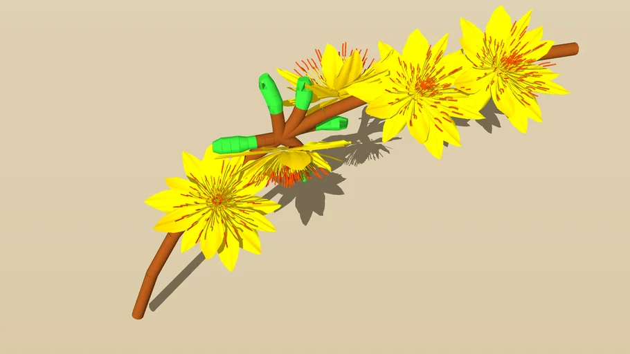 Một nhành mai đơn sơ - Hoa mai Ochnacea | 3D Warehouse