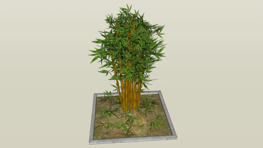 Arbusto bambu | 3D Warehouse