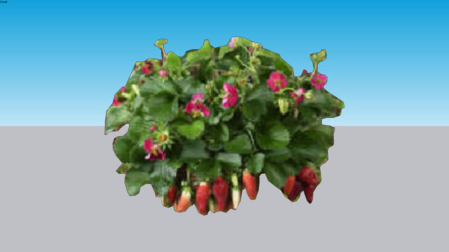 Strawberry or Pineberry Plant | 3D Warehouse