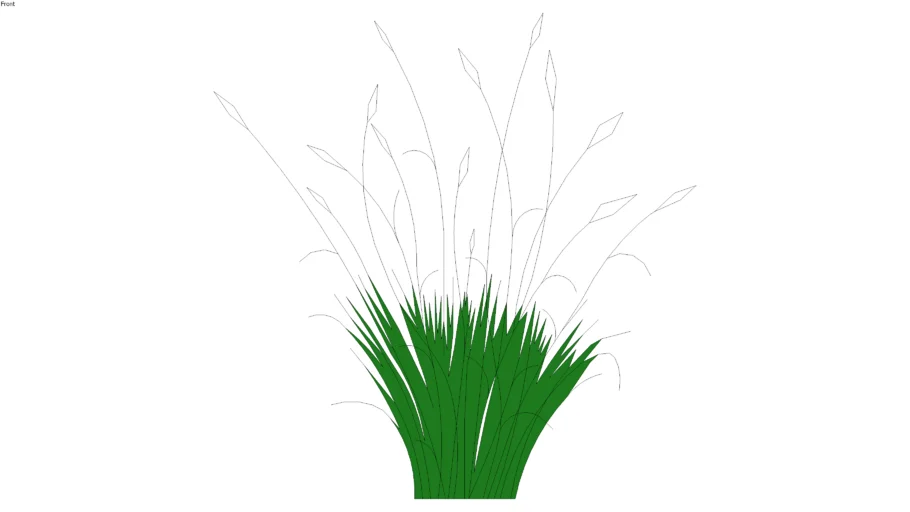 2D fountain grass | 3D Warehouse