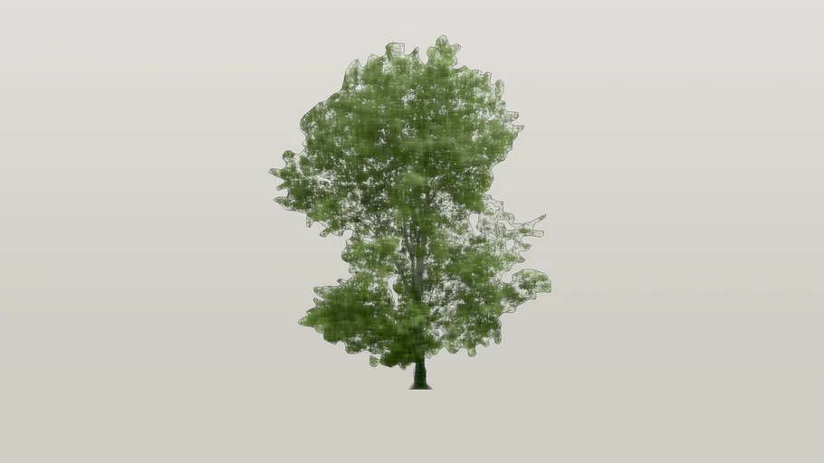 Watercolor Tree 2 | 3D Warehouse