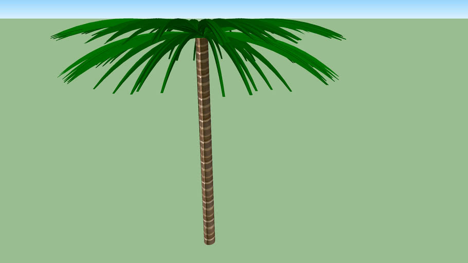 Palm Tree | 3D Warehouse