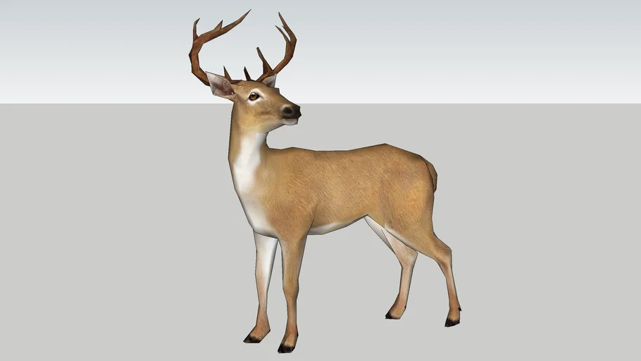 Cerbiatto | 3D Warehouse