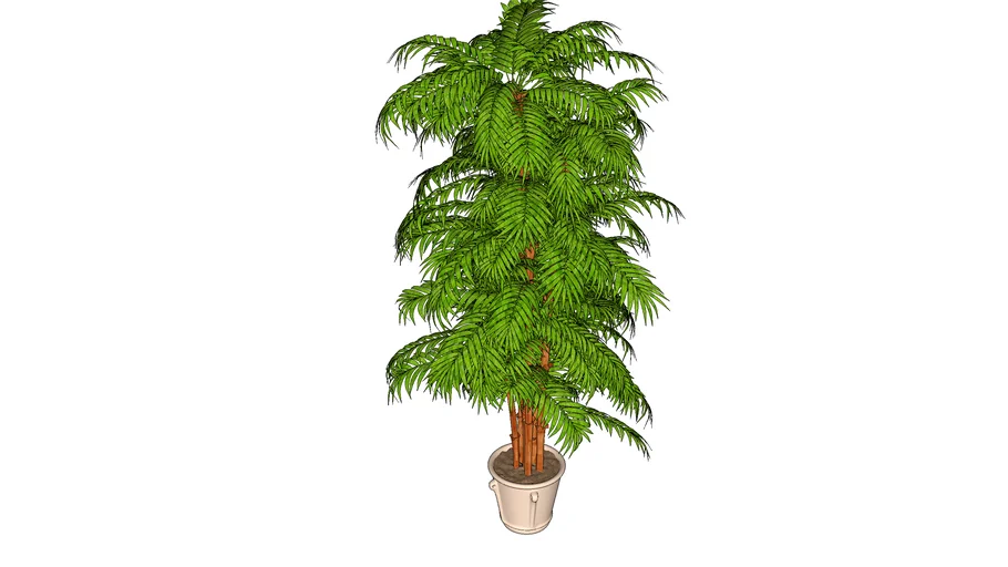 tree 2 | 3D Warehouse