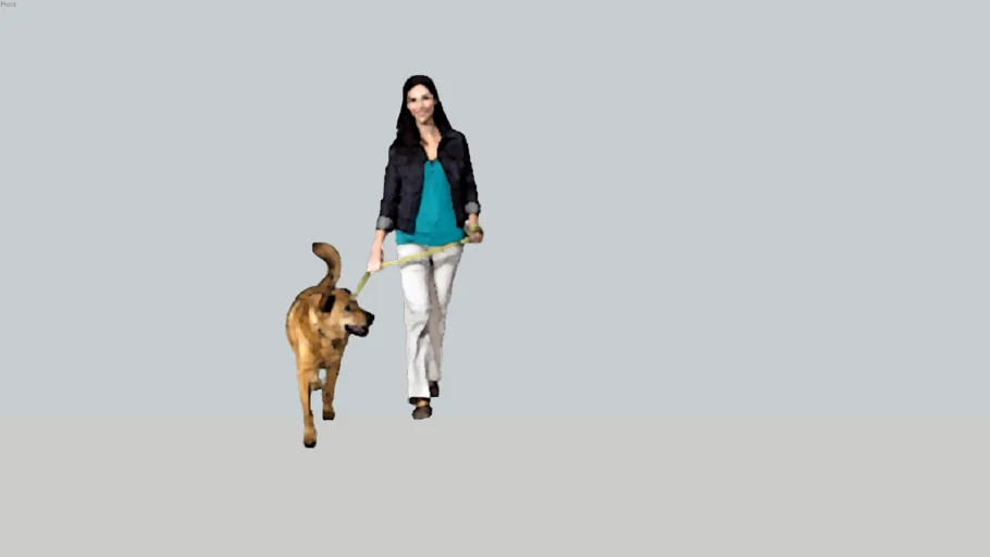 2D Woman walking Dog | 3D Warehouse