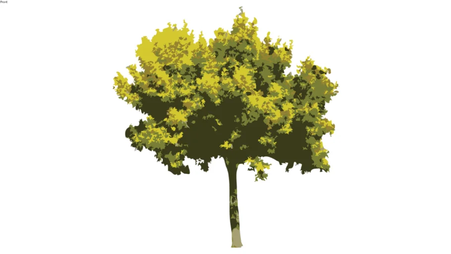 2D Tree Deciduous 1 | 3D Warehouse