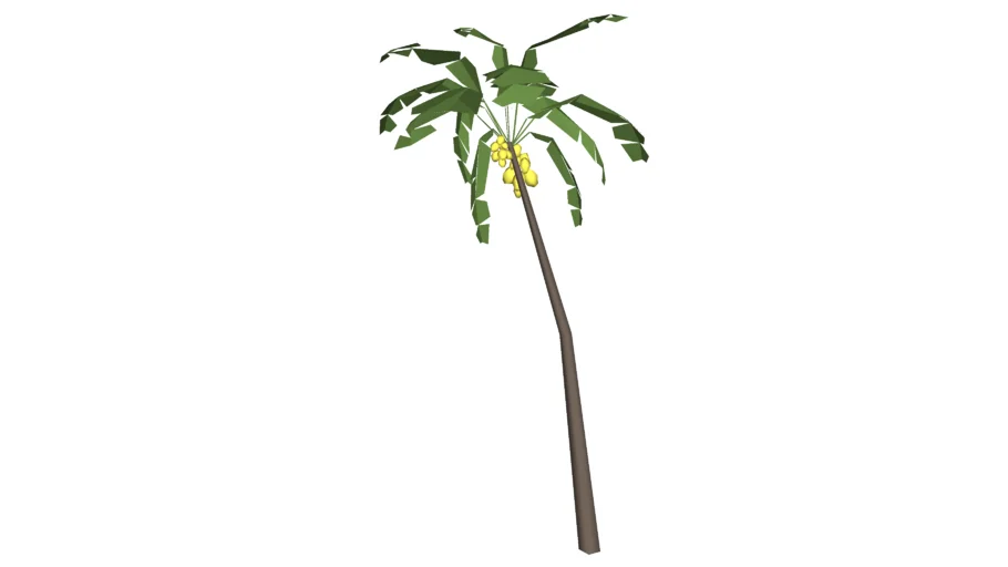Tropical Fan Palm Tree | 3D Warehouse