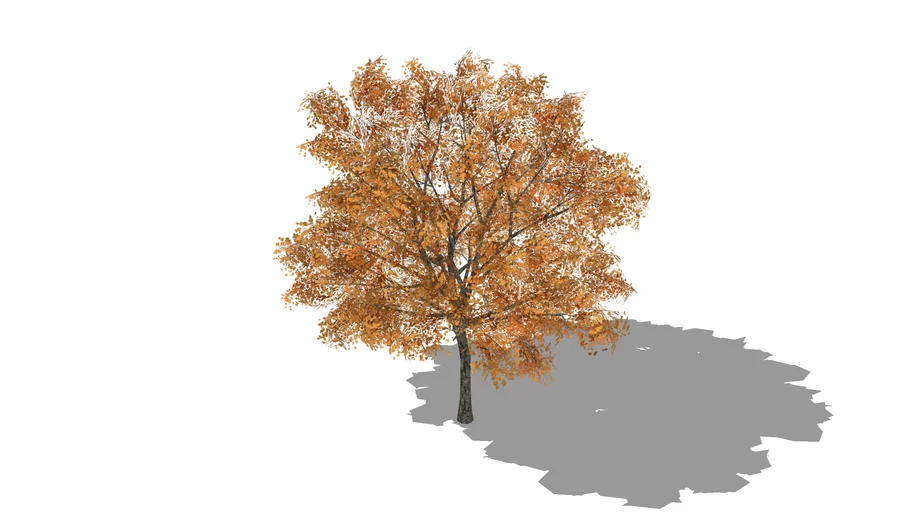 Tree 21 | 3D Warehouse