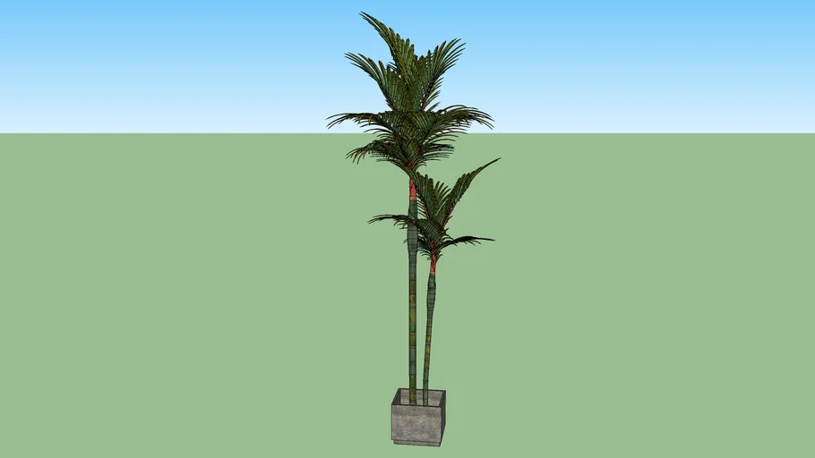 cay cau | 3D Warehouse