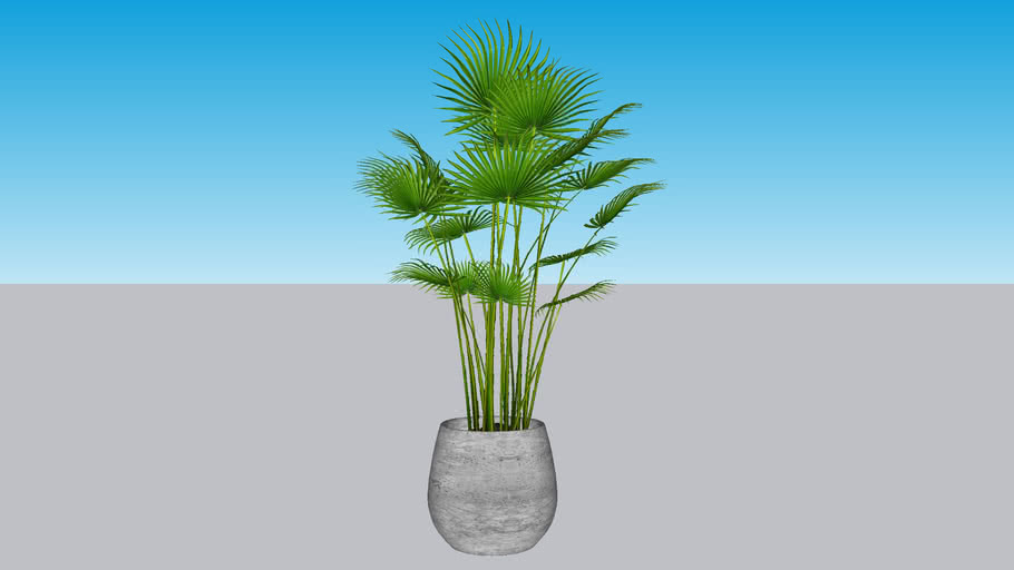 tree | 3D Warehouse