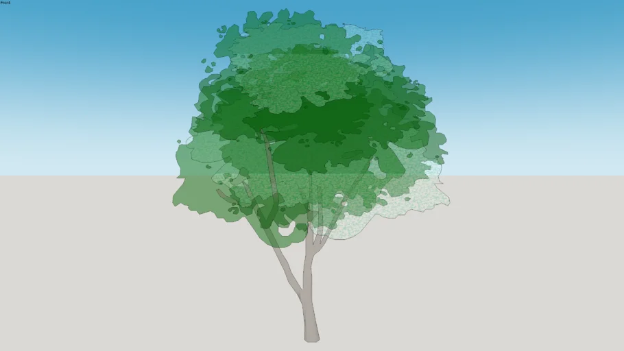 Tree - 2.5d | 3D Warehouse
