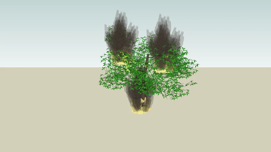 Forest Fire | 3D Warehouse