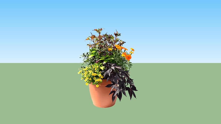 Bunga Pot 1 | 3D Warehouse