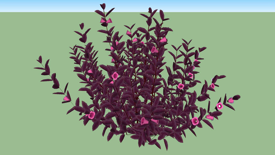 Alternanthera dentata - Little Ruby | 3D Warehouse