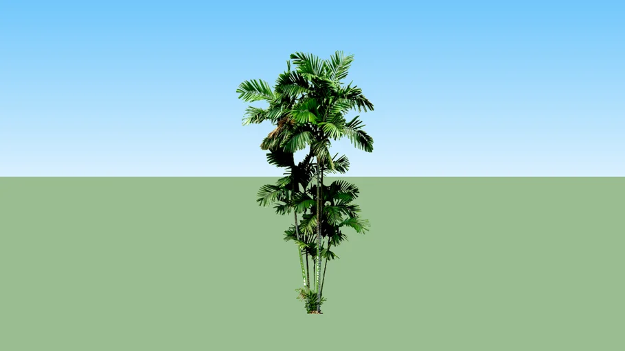 Palem | 3D Warehouse