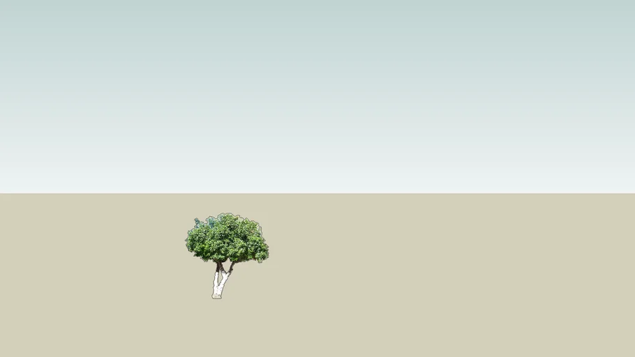 Orange Tree_1 | 3D Warehouse