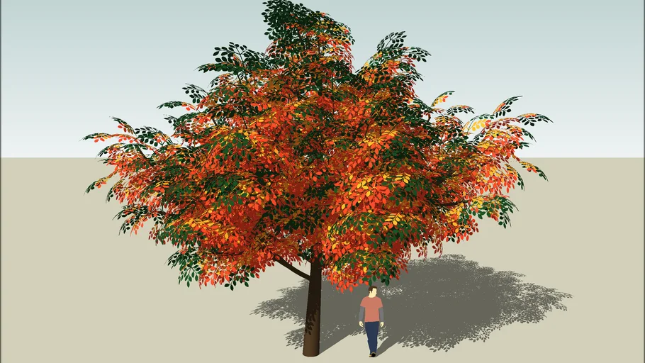 tree fall | 3D Warehouse