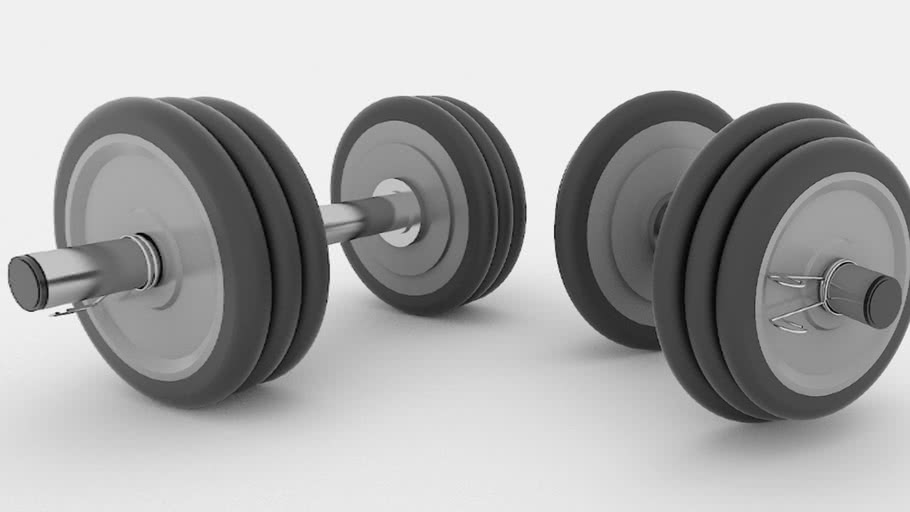 Dumbbell weights | 3D Warehouse