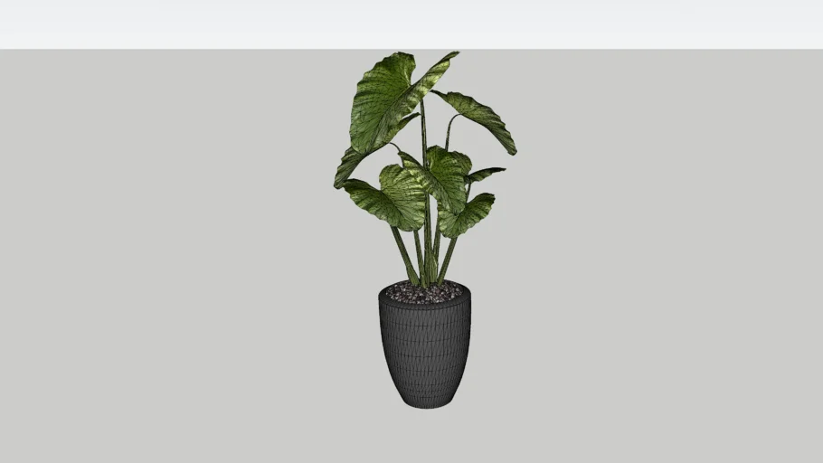 planta en maceta 7 | 3D Warehouse