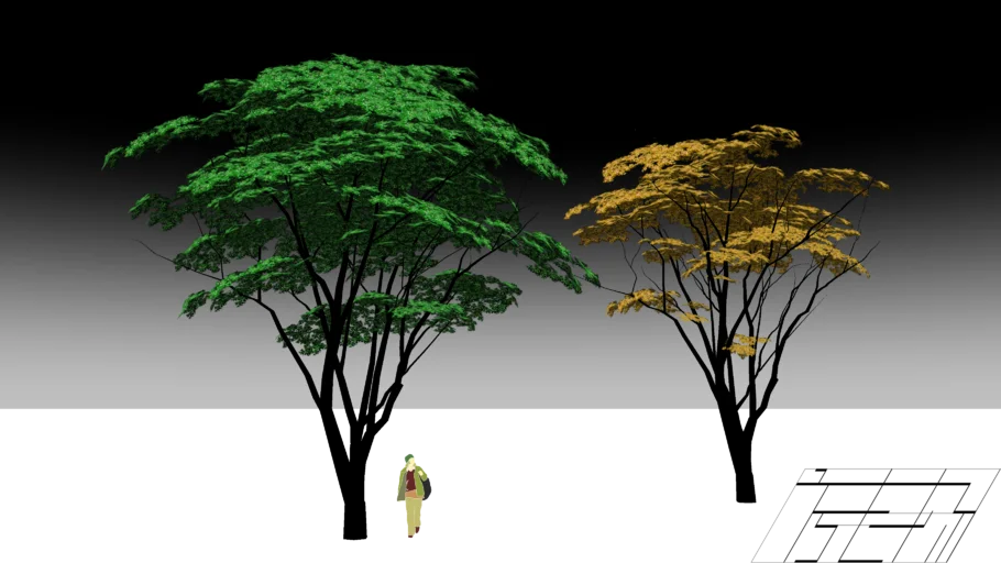 3d tree | 3D Warehouse