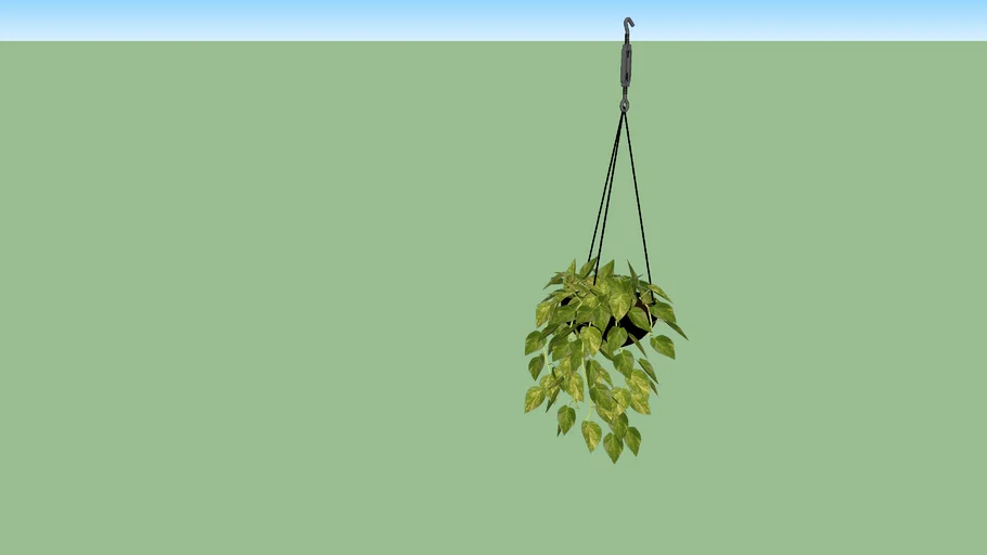 JIBÓIA - EPIPREMNUM PINNATUM | 3D Warehouse