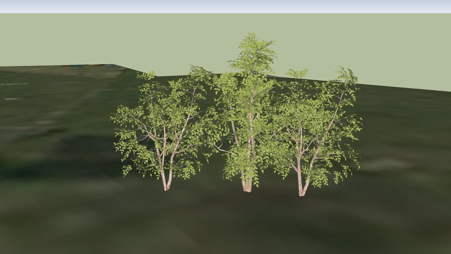 Raasay Playpark Trees 1 | 3D Warehouse