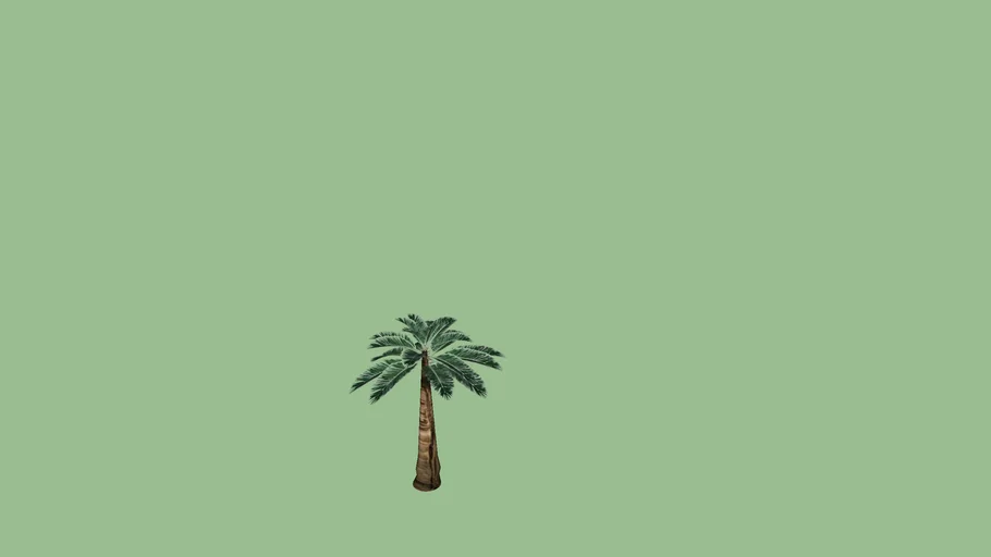 coconut tree | 3D Warehouse