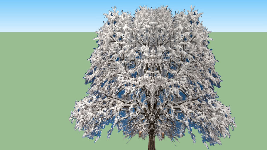 copac nins 1 | 3D Warehouse