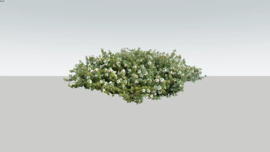 Low Horizon TM | 3D Warehouse