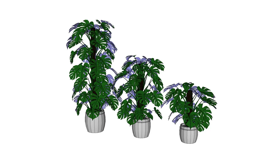 janda bolong | 3D Warehouse