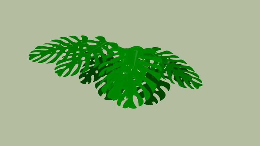 Monstera | 3D Warehouse