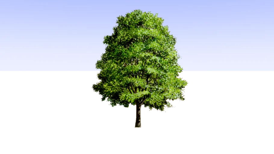 NICE TREE | 3D Warehouse
