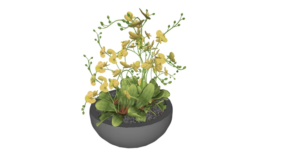 decor tree | 3D Warehouse