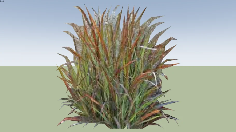 cheyenne switch grass | 3D Warehouse