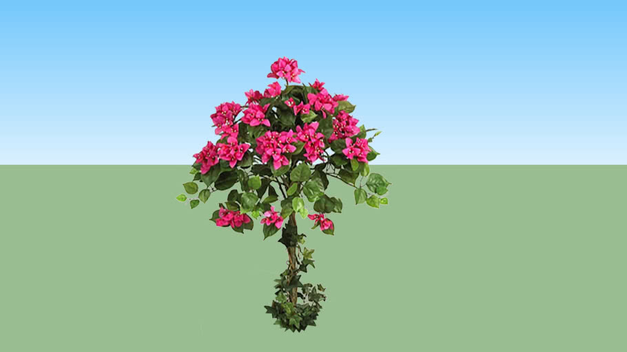 Bunga Hias | 3D Warehouse