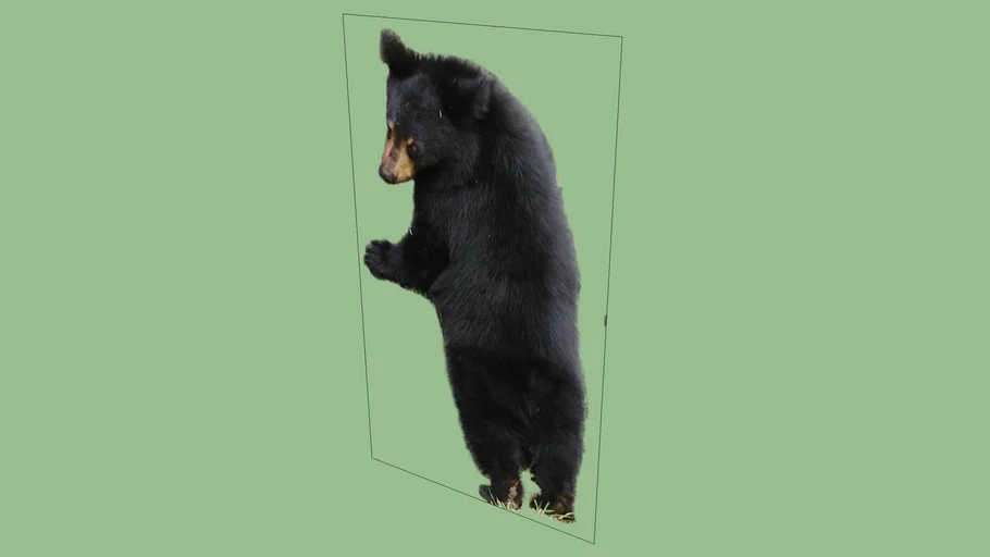 2d_sloth_bear_standing_pose | 3D Warehouse