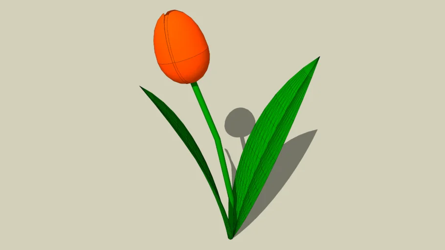 Tulip | 3D Warehouse
