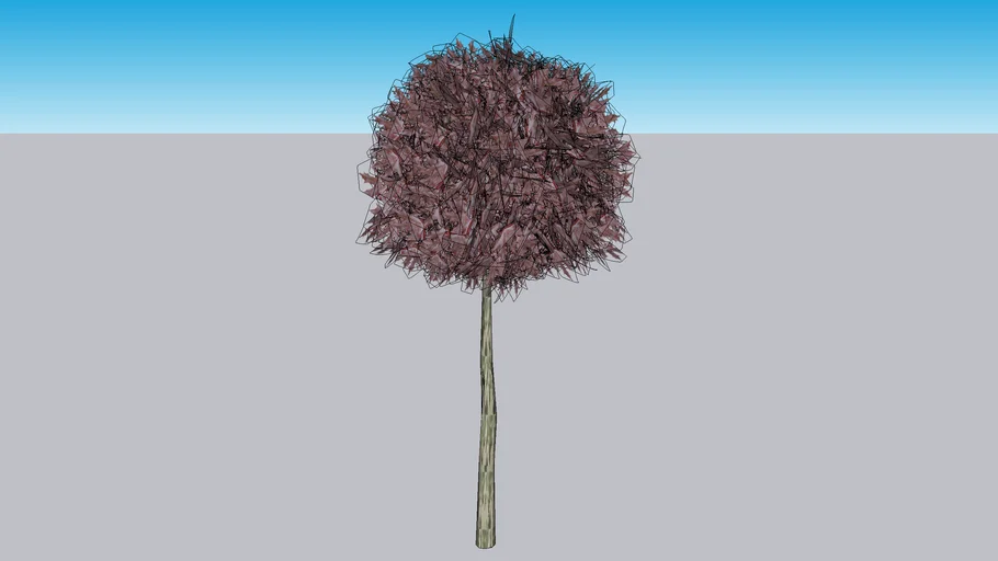Maple/Acer Bol Tree | 3D Warehouse