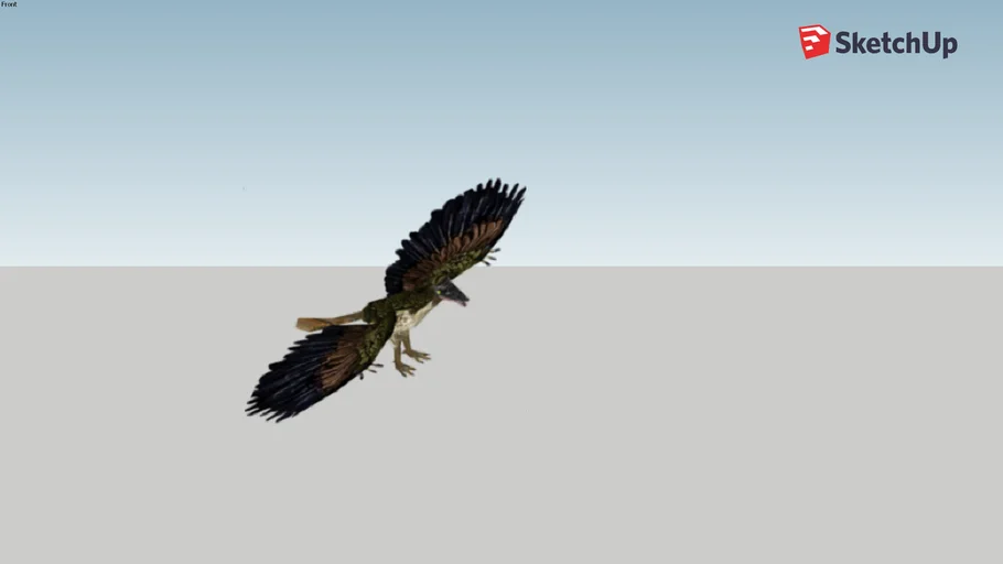archaeopteryx | 3D Warehouse