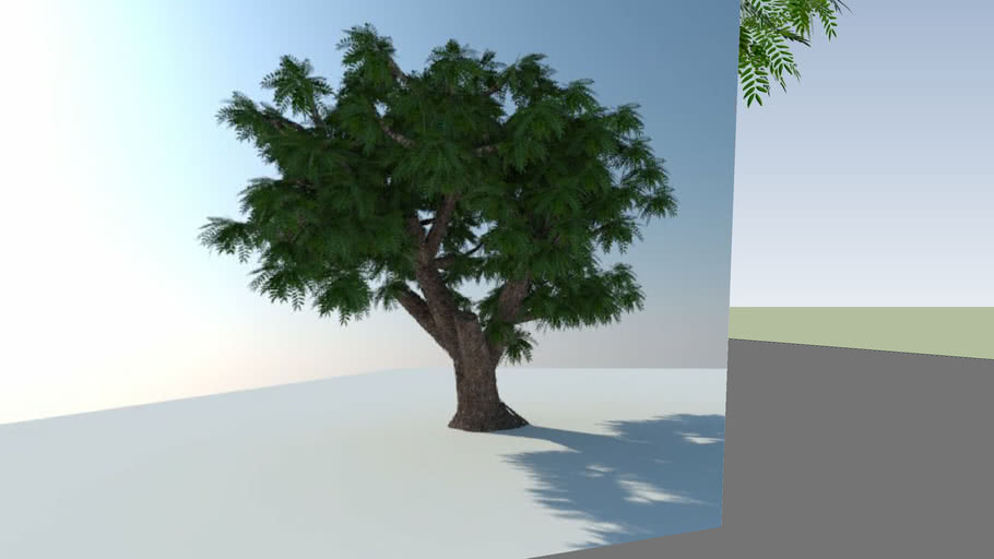 Aacia 3d, árbol 3d | 3D Warehouse