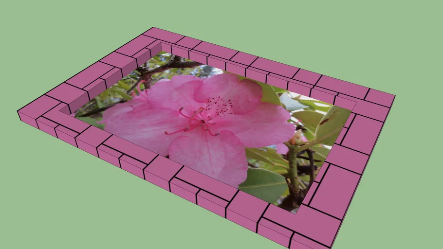 Pink Flower | 3D Warehouse