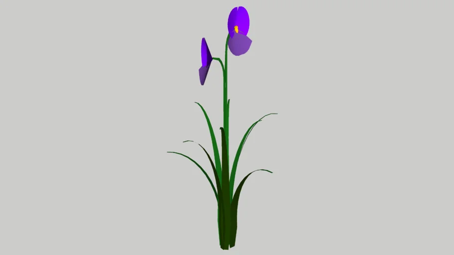 Iris | 3D Warehouse