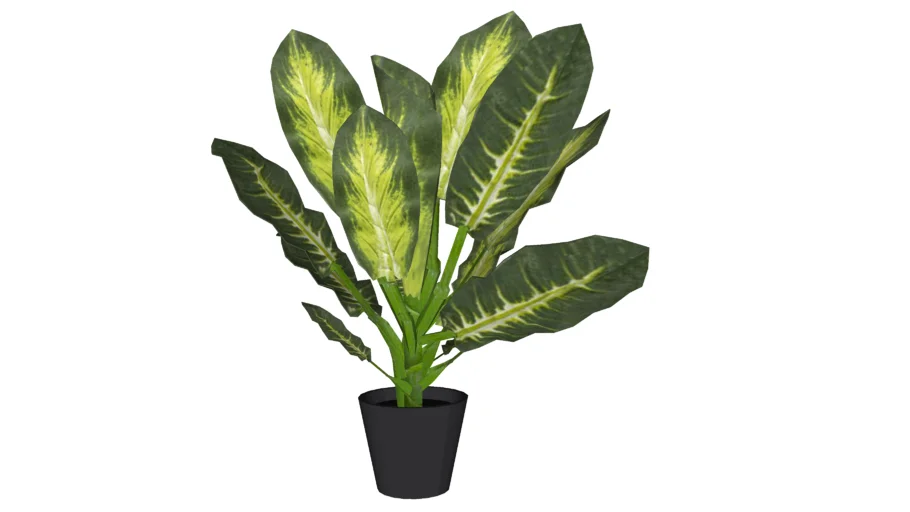 plants | 3D Warehouse